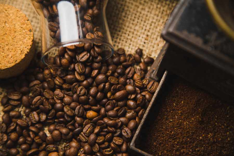 Company exporting high quality coffee beans in Vietnam
